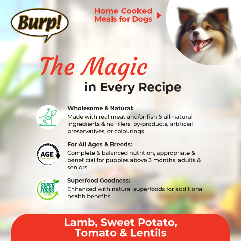 Burp Home Kitchen Pouch Lamb With Vegetables (Tomato, Lentils And Sweet ...