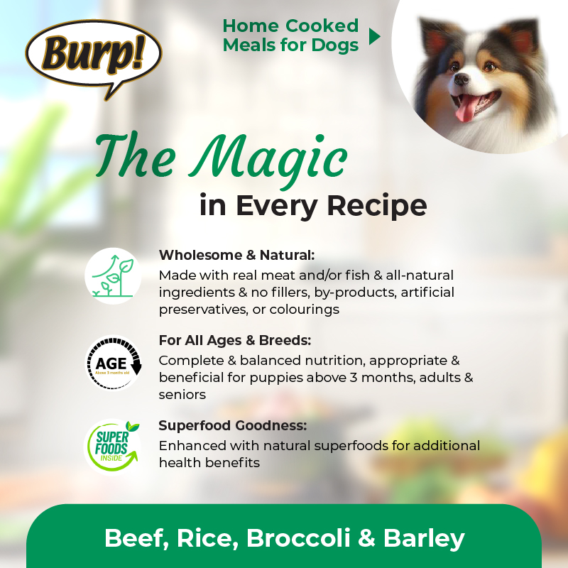 Burp Home Kitchen Pouch Beef With Vegetables (Broccoli, Sweet Corn And ...