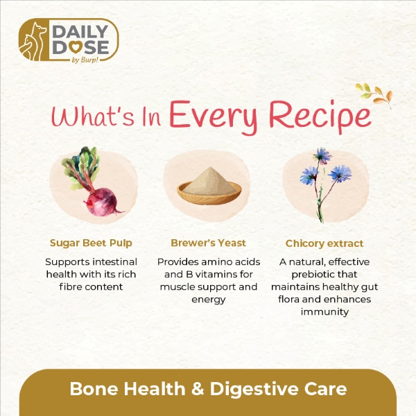Burp Daily Dose By Burp Bone Health & Digestive Care Dog Dry Food 1.5kg ...